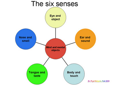 Quality Writing With The Six Senses Taste Touch See 10 Strategies For